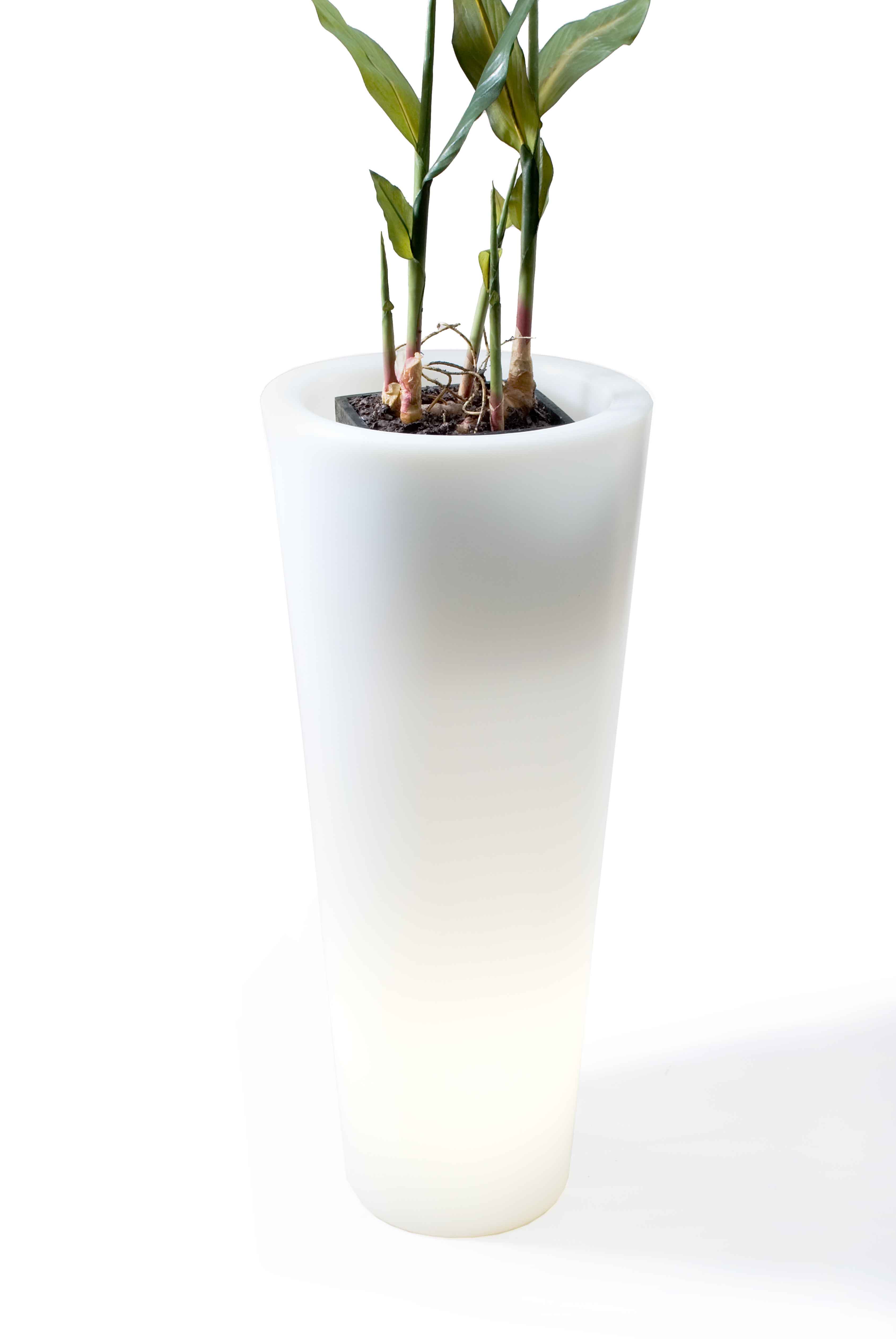 Conic Pot - Outdoor Lamp and Planter - Pure Design
